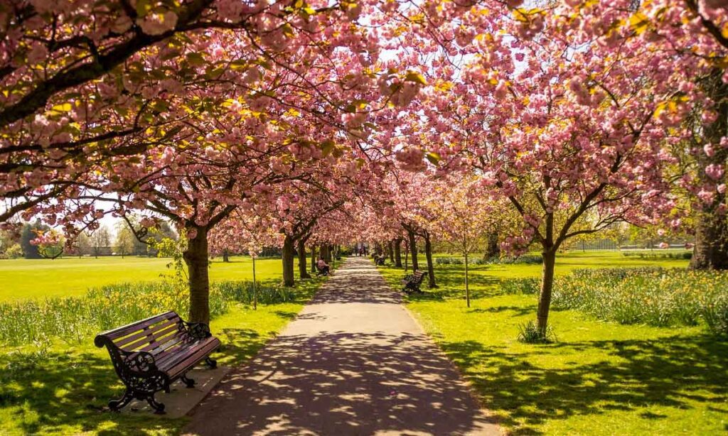London Weather in Summer: A Comprehensive Guide for Travellers